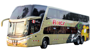 Destinos – FLORES HNOS | Compra tus pasajes a los mejores precios