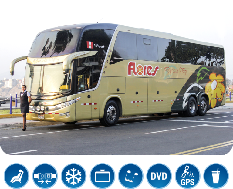 Servicios – FLORES HNOS | Compra tus pasajes a los mejores precios